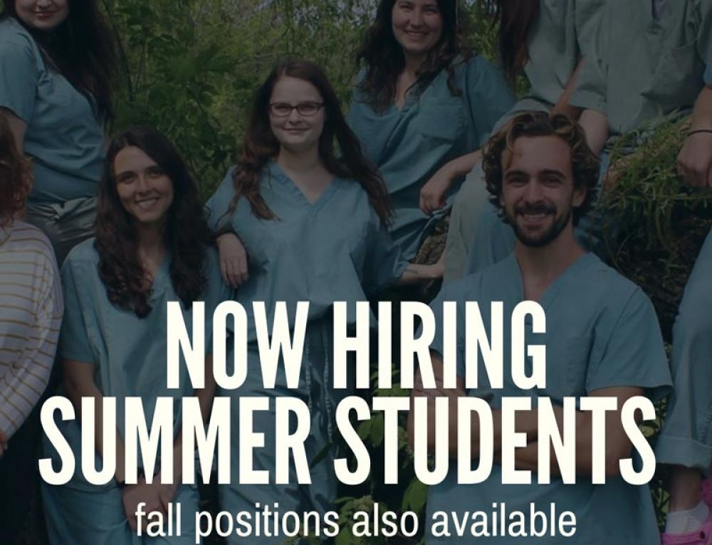 Summer Student Job Opportunities - RVWS